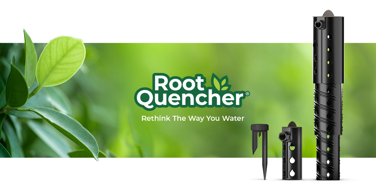All Root Quencher Reviews – Root Quencher