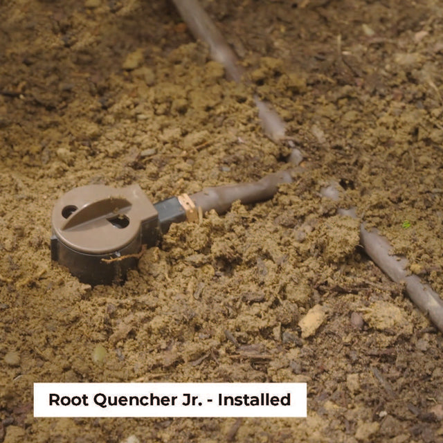 Root Quencher Jr. for Small Trees and Shrubs – Root Quencher
