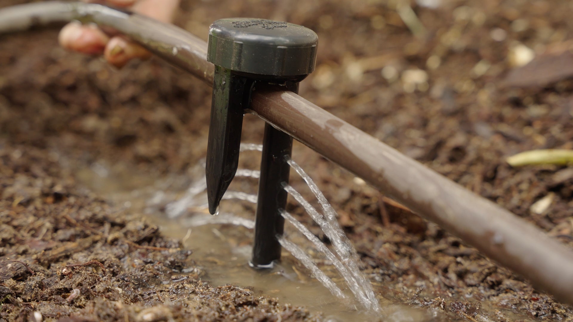 Root Quencher Spike® Deep Watering Device for Trees and Shrubs – Root ...