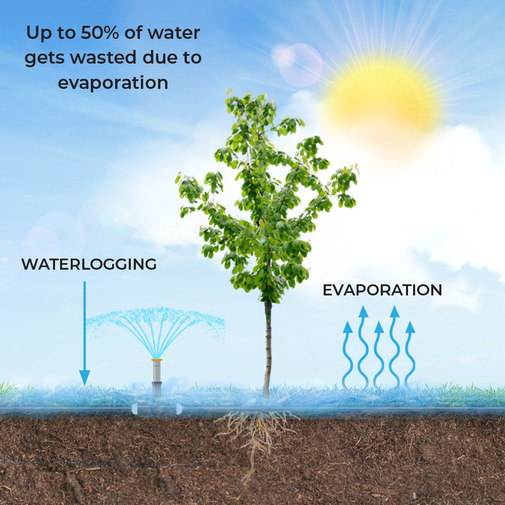 Deep Root Science – Root Quencher